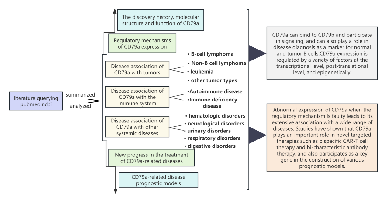 First Published: 29 October 2024